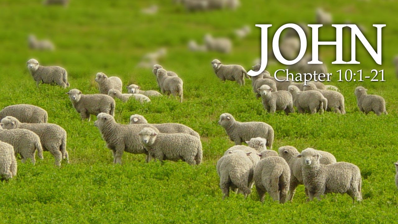 John 10 1 21 Verse By Verse John 10 1 21 Verse By Verse